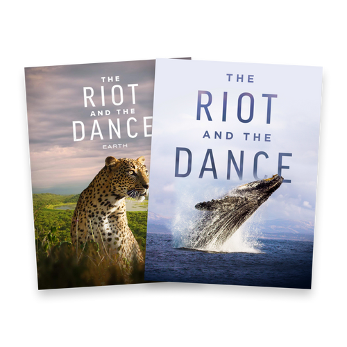 N. D. Wilson | Novelist Turned Filmmaker/Producer & HS COACH – N.D. Wilson